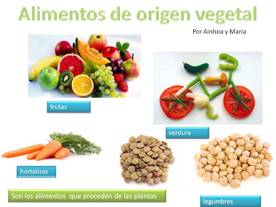 Vegetal :: La alimentación